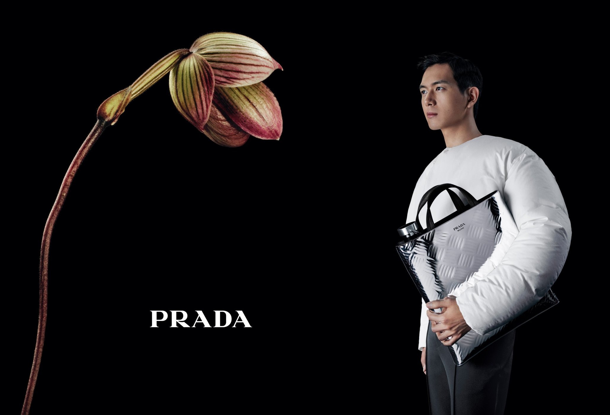 Prada Fall 2023 Ad Campaign Review | The Impression