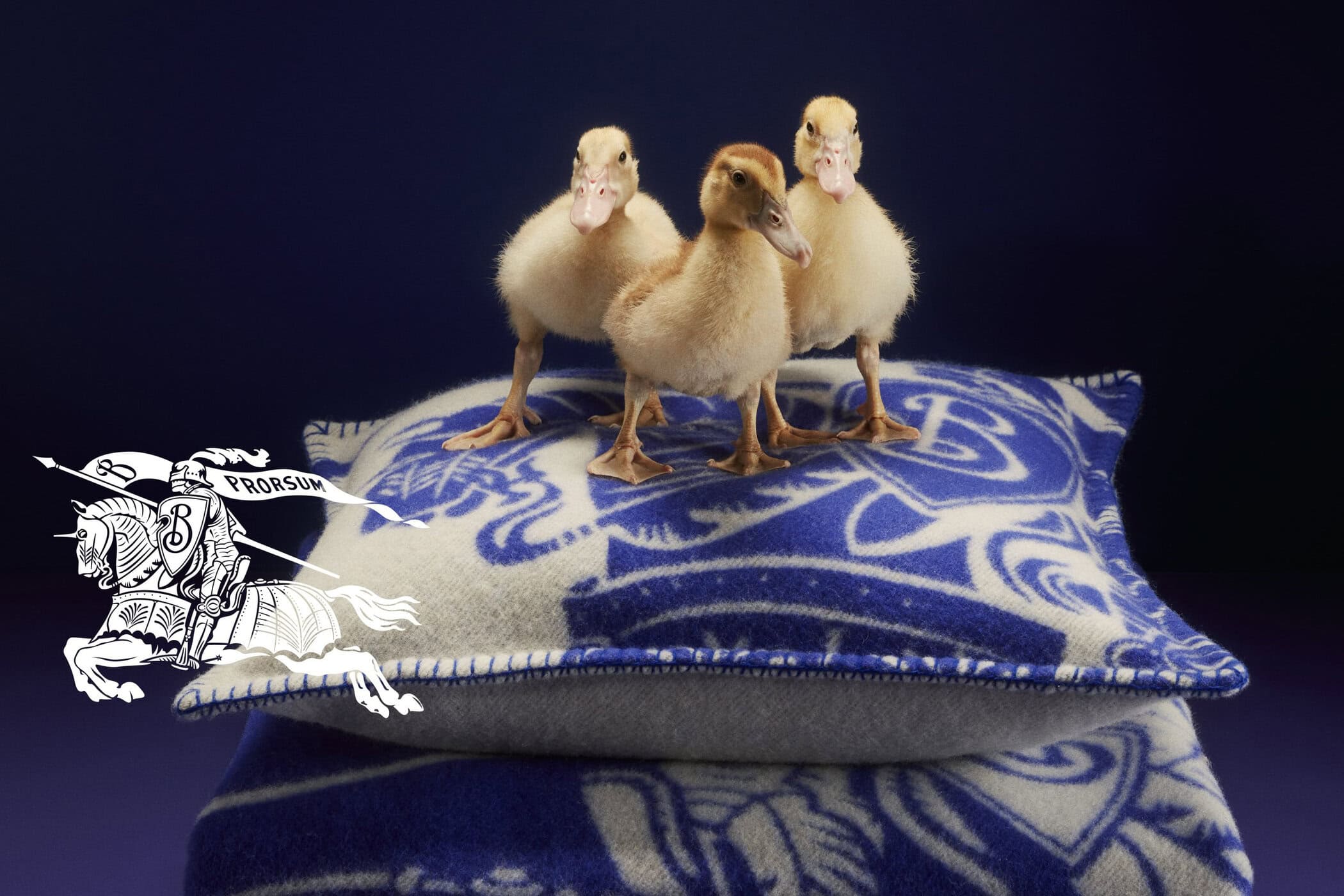 Burberry Holiday 2023 Ad Campaign | The Impression