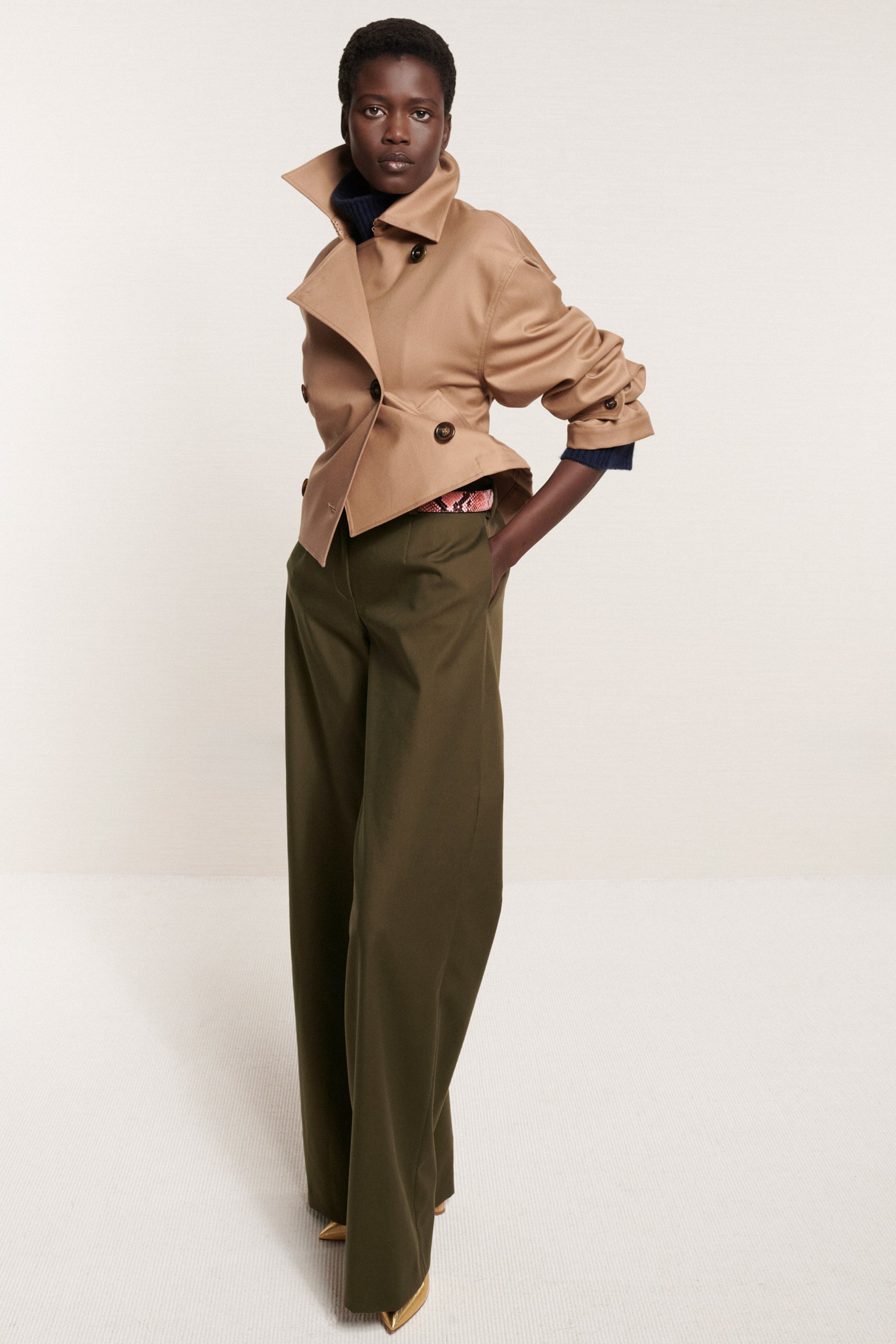 Maxwell Collection